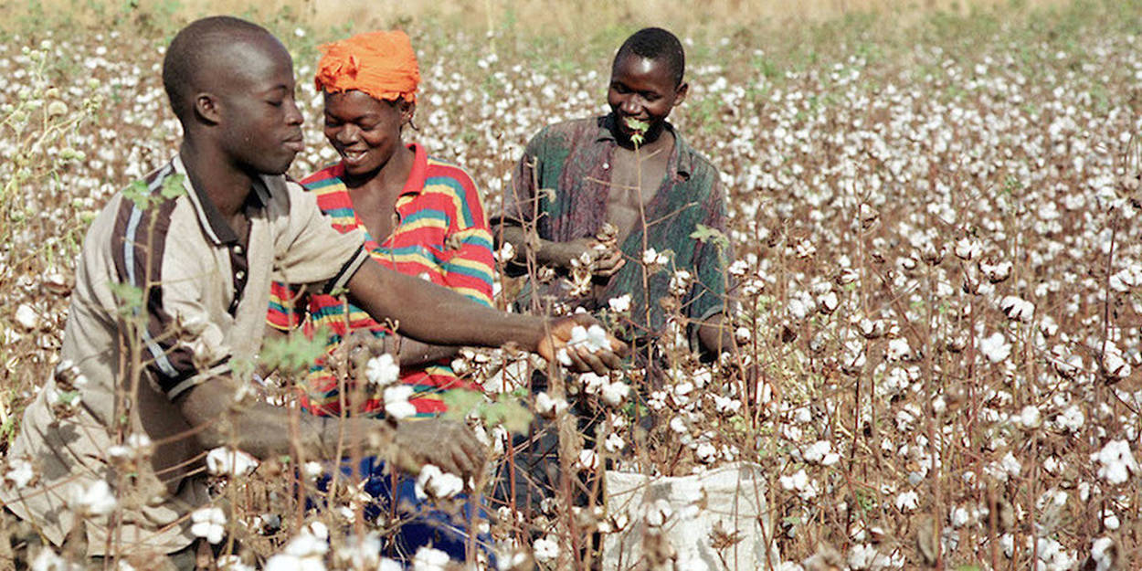 La Côte d'Ivoire maintient sa place au classement des meilleurs ...